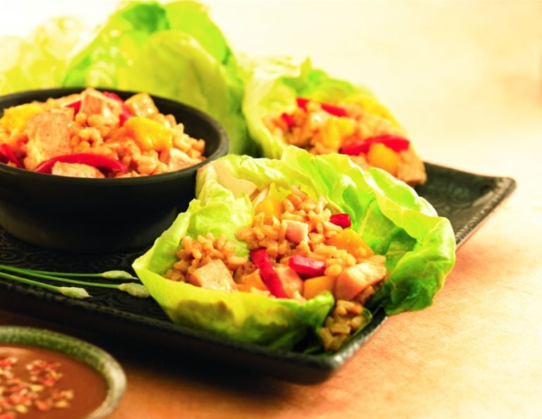 Thai Chicken & Brown Rice Lettuce Wraps – School Nutrition Association